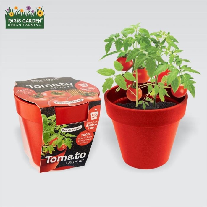 Customised Bio Pots With Logo Print Singapore