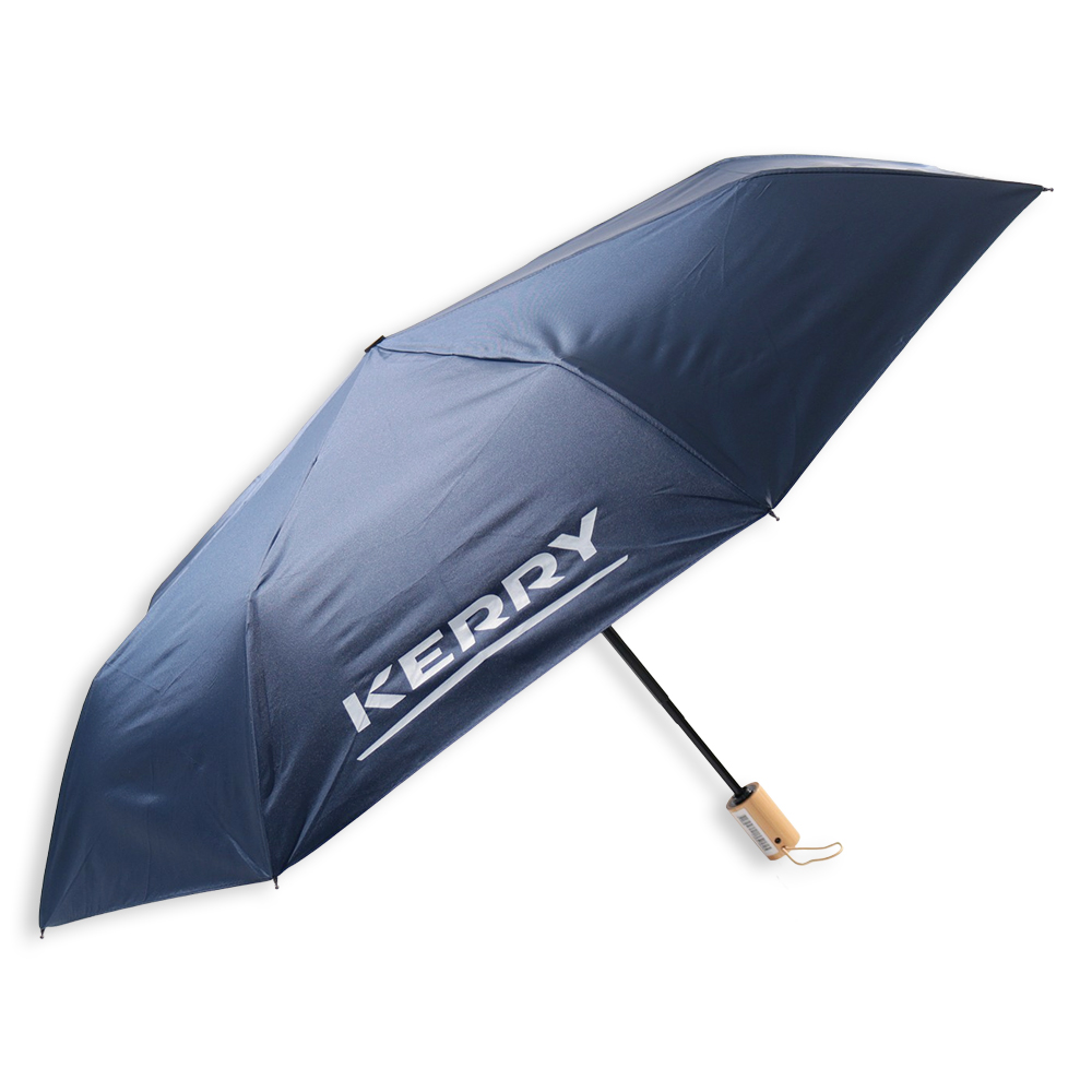 Customised 21'' Automatic Foldable RPET Umbrella (with UV Coating) With Logo Print Singapore